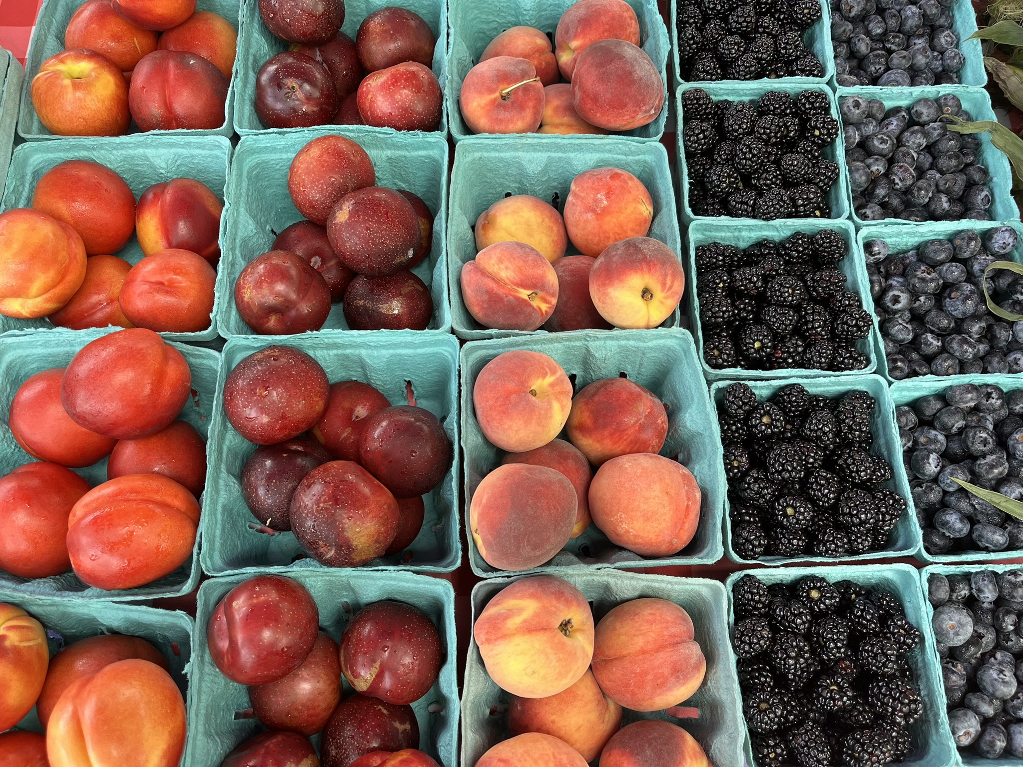 The Board - Common Greens Farmers Markets